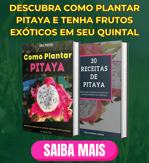 Como Plantar Pitaya no Vaso: Guia Completo para Iniciantes